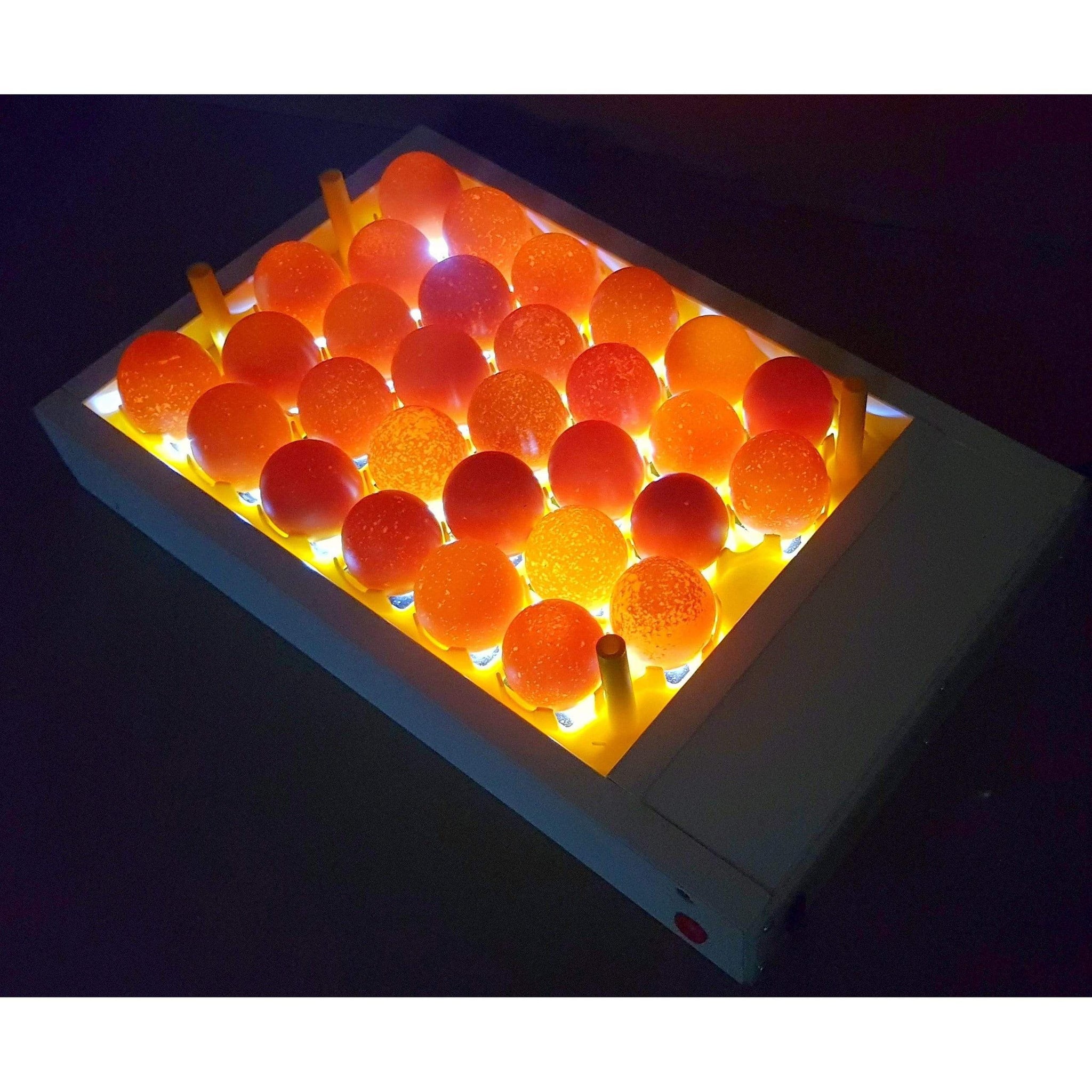 Egg Fertility Tester (Egg Candler) for 30 Chicken Eggs - SureView ...