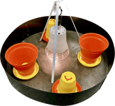 Premium, Reliable Egg Incubators & Hatchers by Surehatch – Surehatch ...