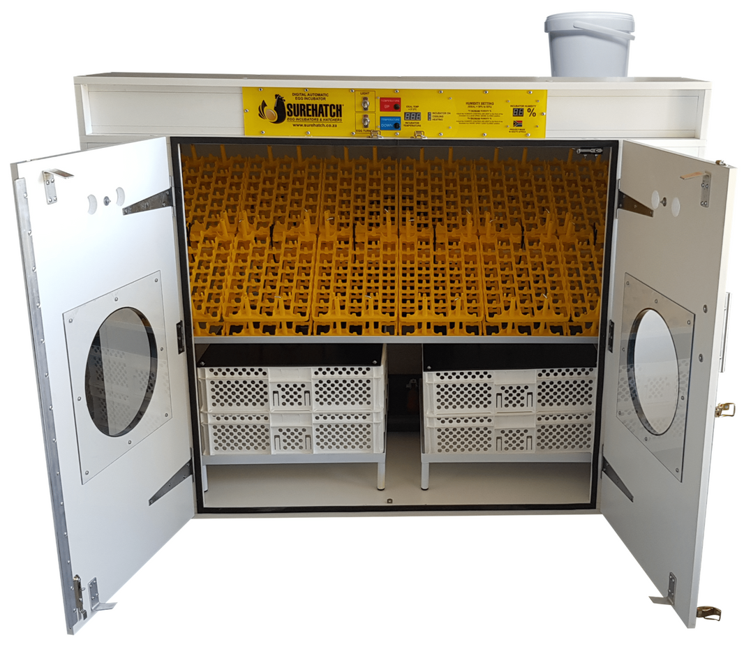 America's Premium Egg Incubators and Hatchers by Surehatch – Surehatch ...